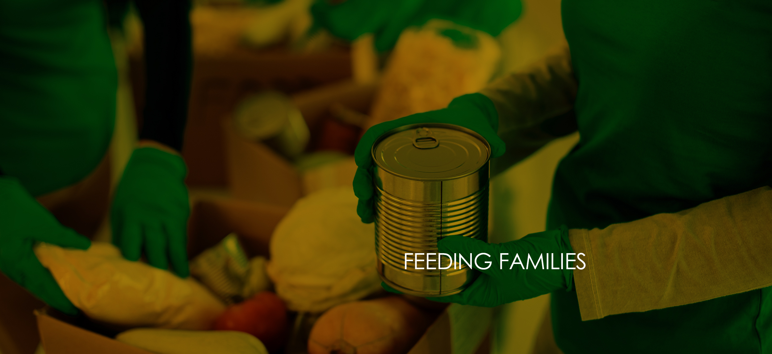 FEEDING FAMILIES – THE E.V.O.L.V.E. FOUNDATION